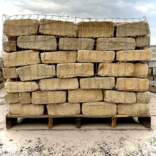 Shop by Category - Evergreen – Lots of Plants